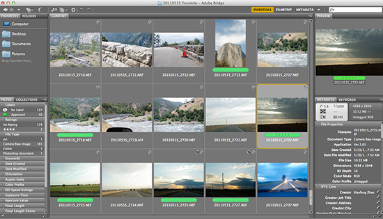 What else is new? - Photo Rumors