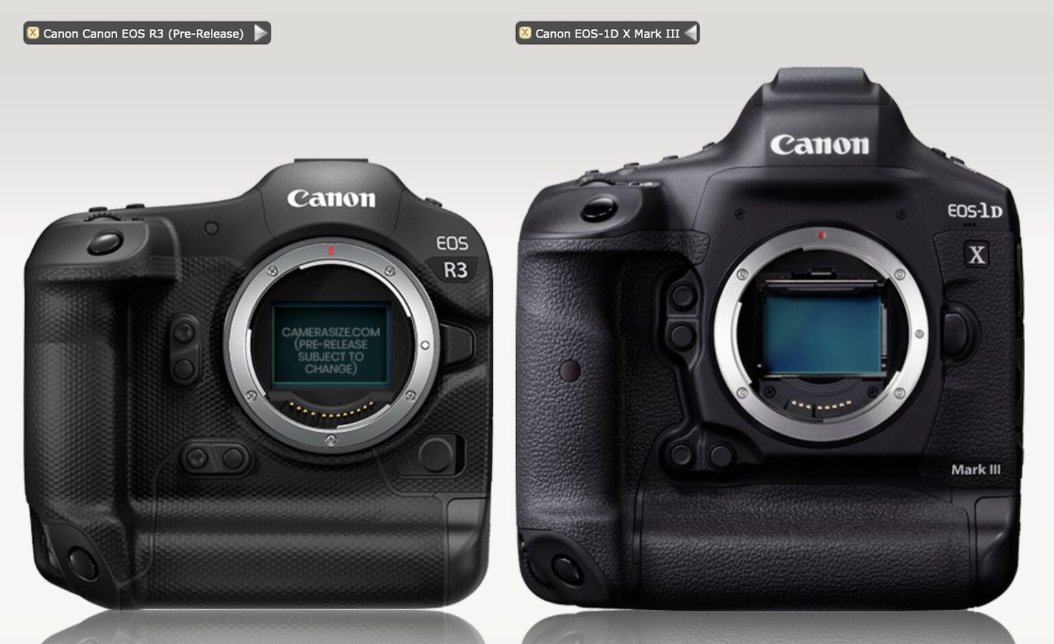 Canon EOS R3 pro mirrorless camera size comparisons - Photo Rumors