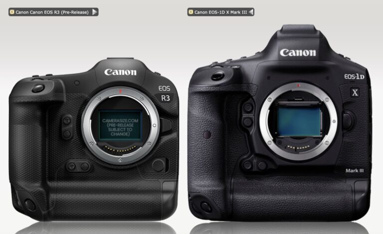 Canon EOS R3 pro mirrorless camera size comparisons - Photo Rumors