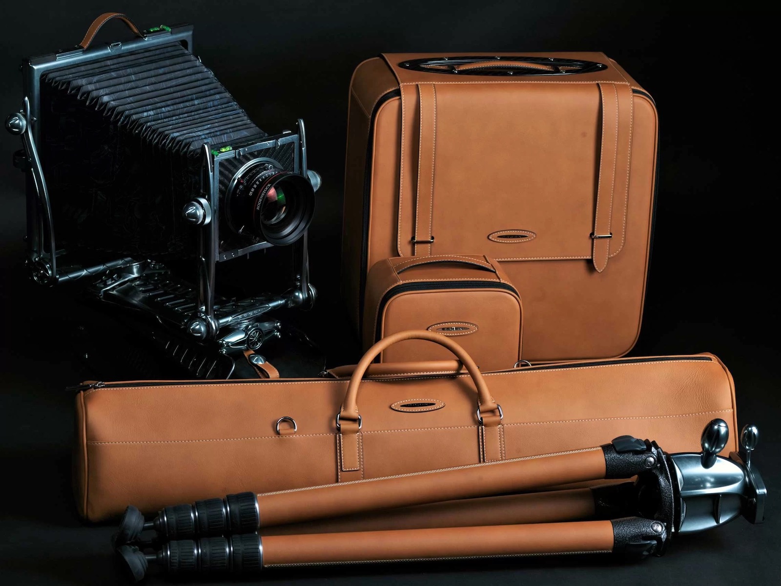 Pagani and Gibellini released a new GP810HP 8×10 large format analog ...