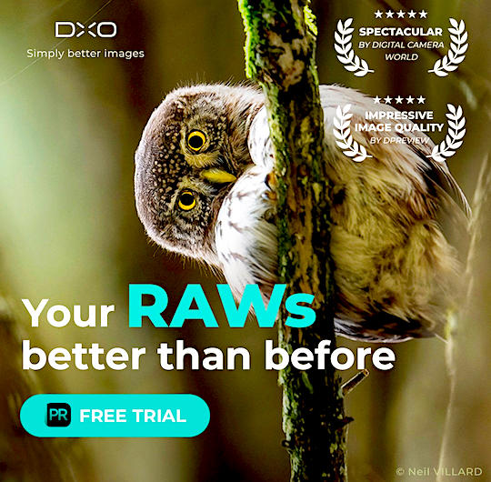 Camera brand reliability survey results – Seriously Photography