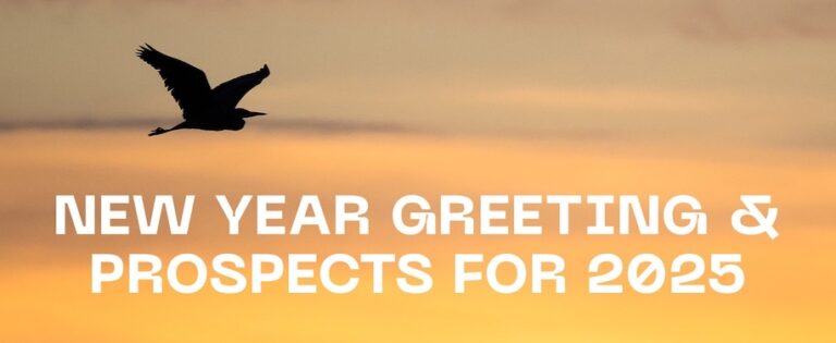 OM SYSTEM 2025 roadmap: a new camera and fast compact single-focal ...