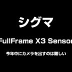 Sigma CEO: the Foveon X3 full-frame mirrorless camera will not be coming this year (2025 ...