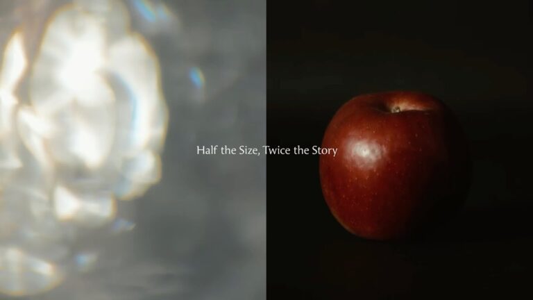 New FujiFilm X half-frame digital camera teaser for the diptychs ...