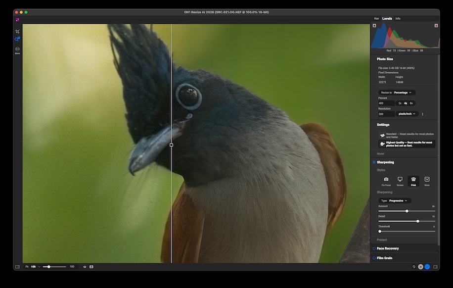 ON1 Resize AI 2026 now available - Photo Rumors
